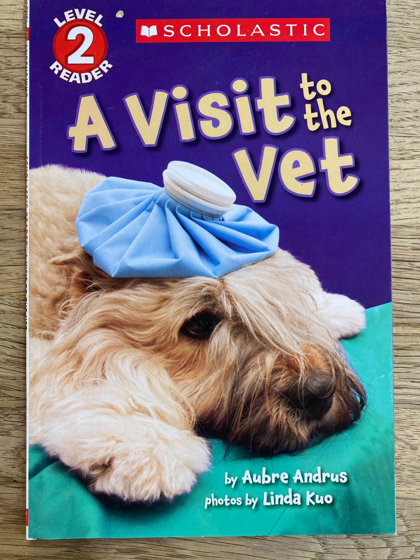 A Visit to the Vet - Level 2 Reader – Wolf Bandit & the Pup Brigade